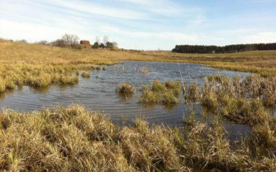 Wisconsin Wetlands Association | Helping people care for wetlands.